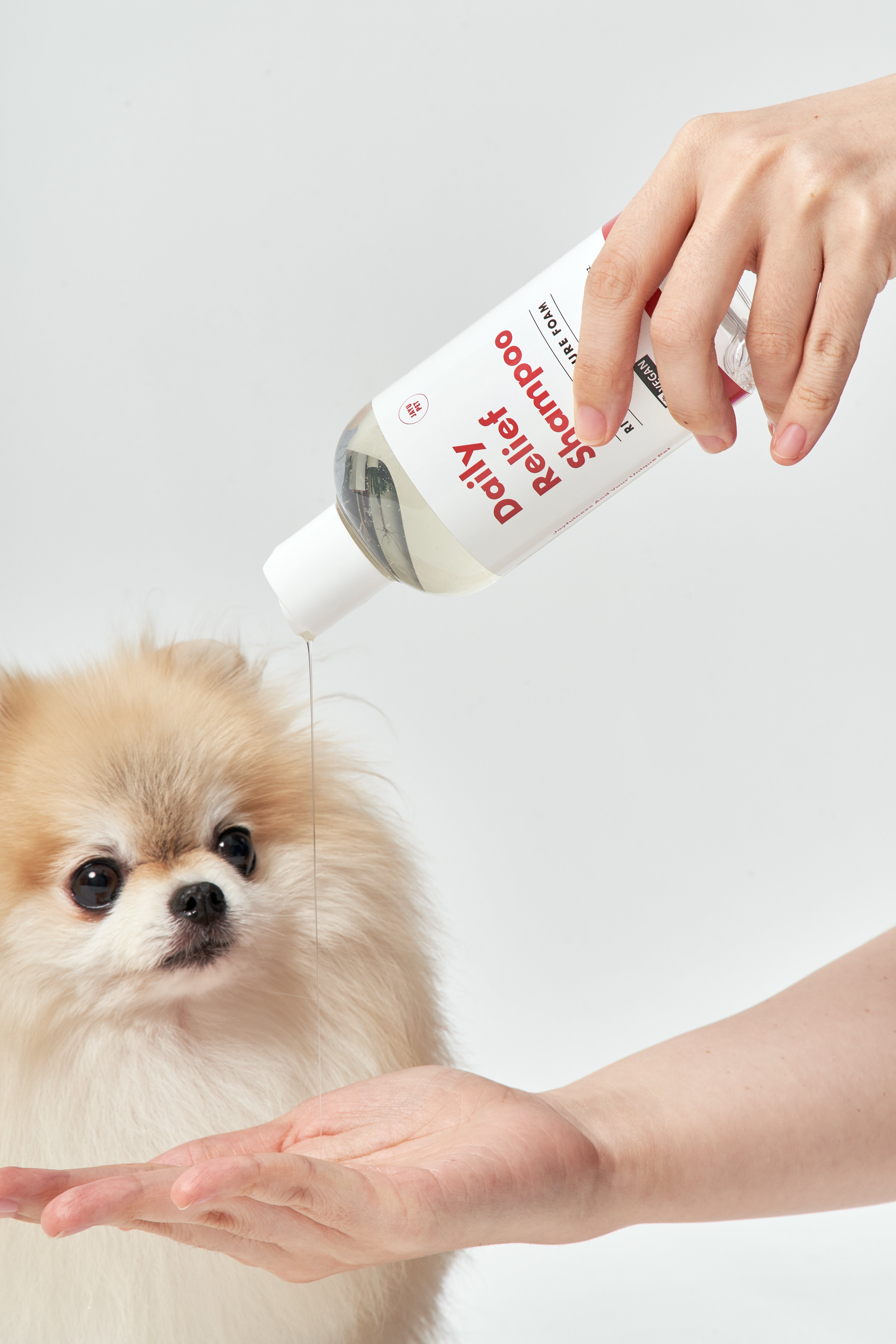 How to Bathe Dogs with Sensitive, Allergic, or Seborrheic Skin – JAYU PET