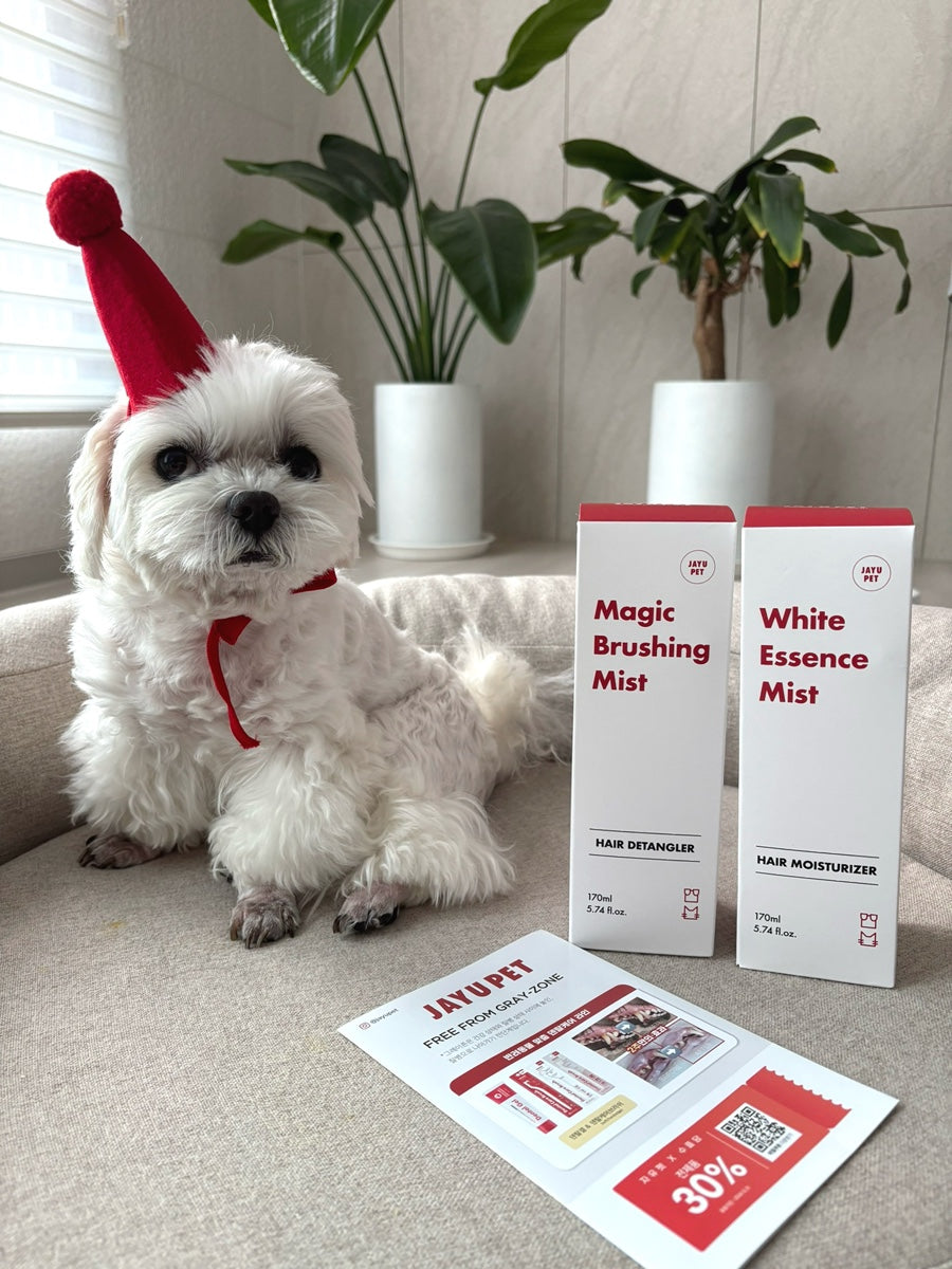 Winter pet care with JAYU PET